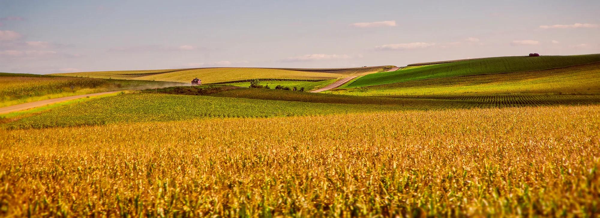 Land for Sale: How to Find Farmland | FCSAmerica
