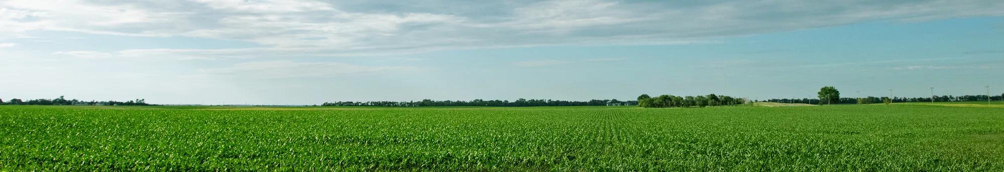 Area Yield Protection Crop Insurance | Frontier Farm Credit