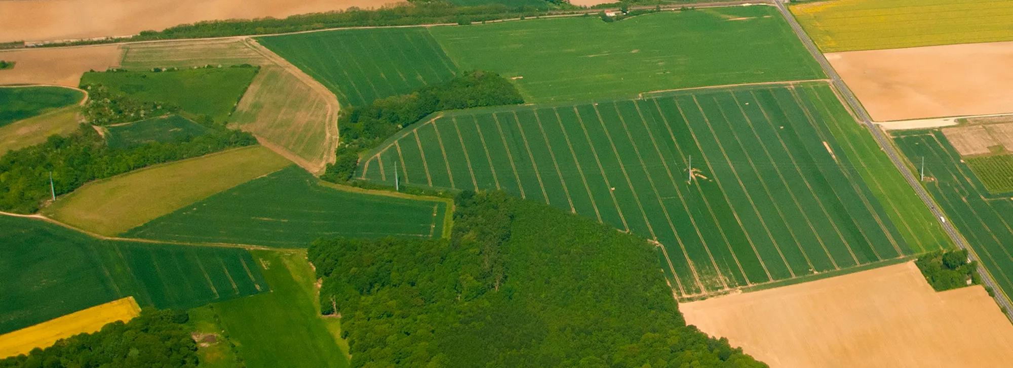 Terrain | Can BRICS+ Stack Away the U.S.? | FCSAmerica