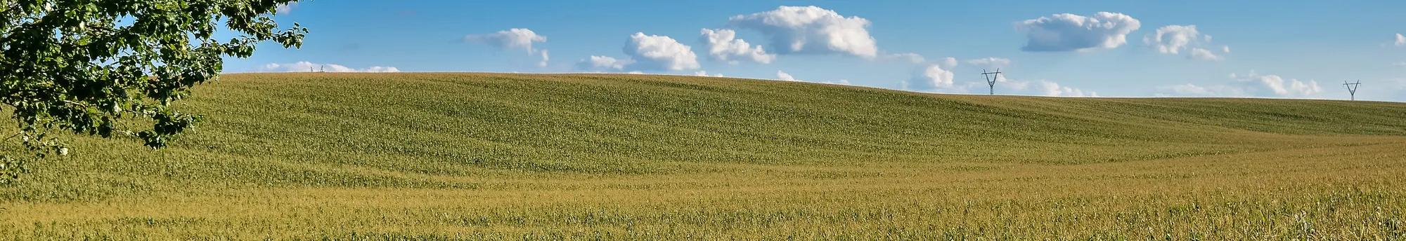 SCO Crop Insurance Serving Eastern Kansas | Frontier Farm Credit