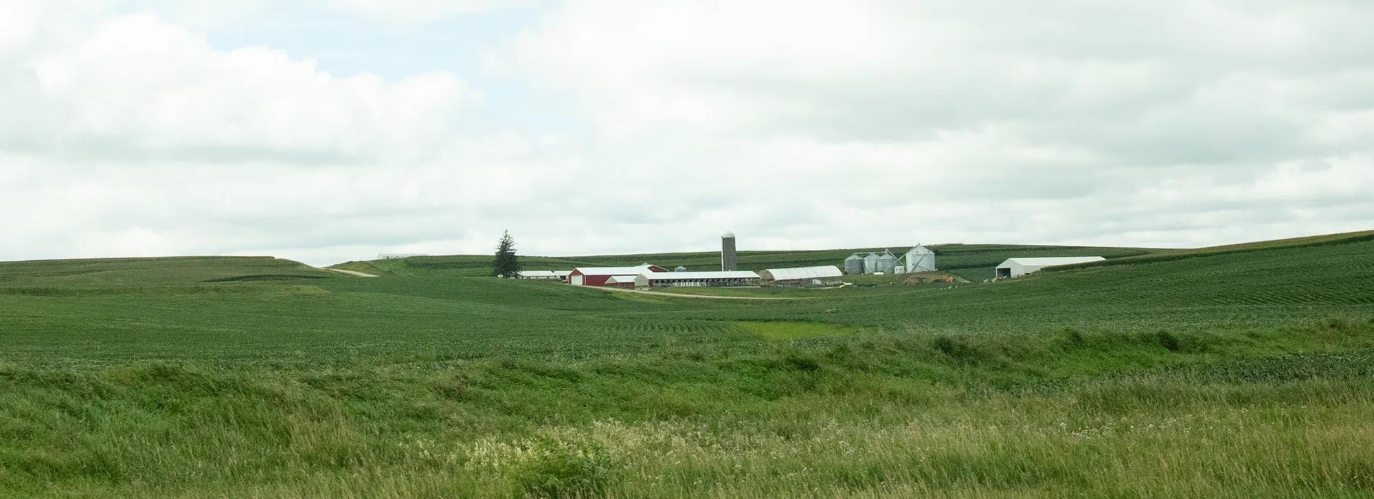 Three Tips to Set Your Farm Up for Success | Frontier Farm Credit