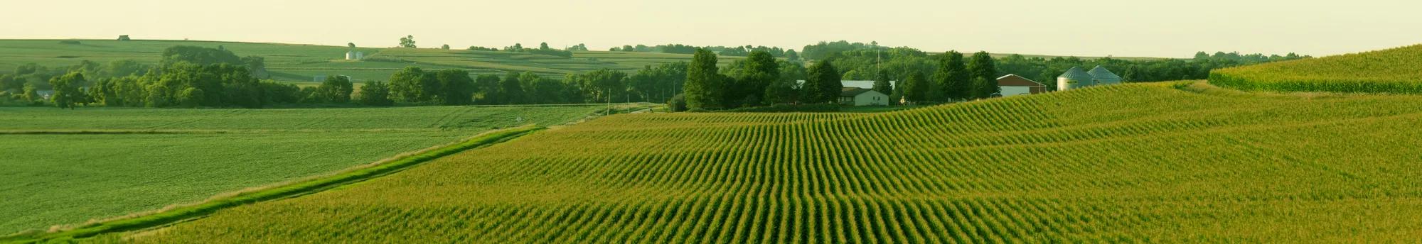 Crop Insurance Policyholder Responsibilities | Frontier Farm Credit