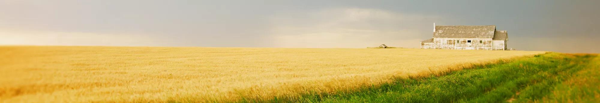 Crop Insurance Abbreviations | FCSAmerica