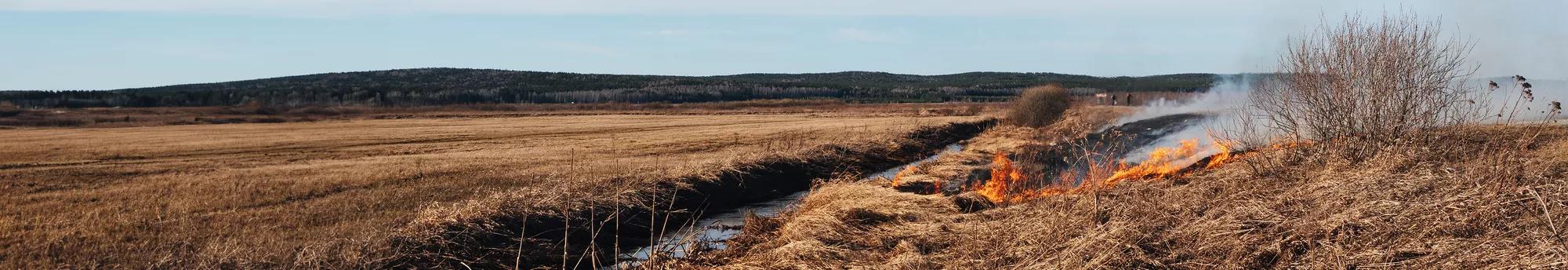 Pasture Fire / Hay Fire Insurance | Frontier Farm Credit