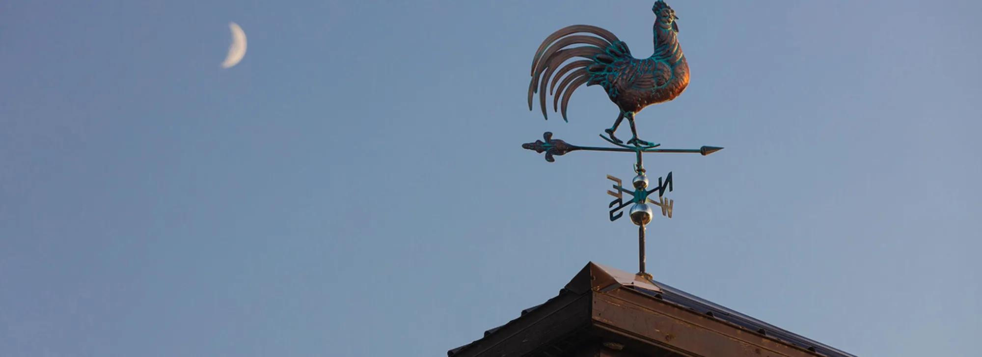 Terrain | Post-Liberation, What We Know (for now) | FCSAmerica