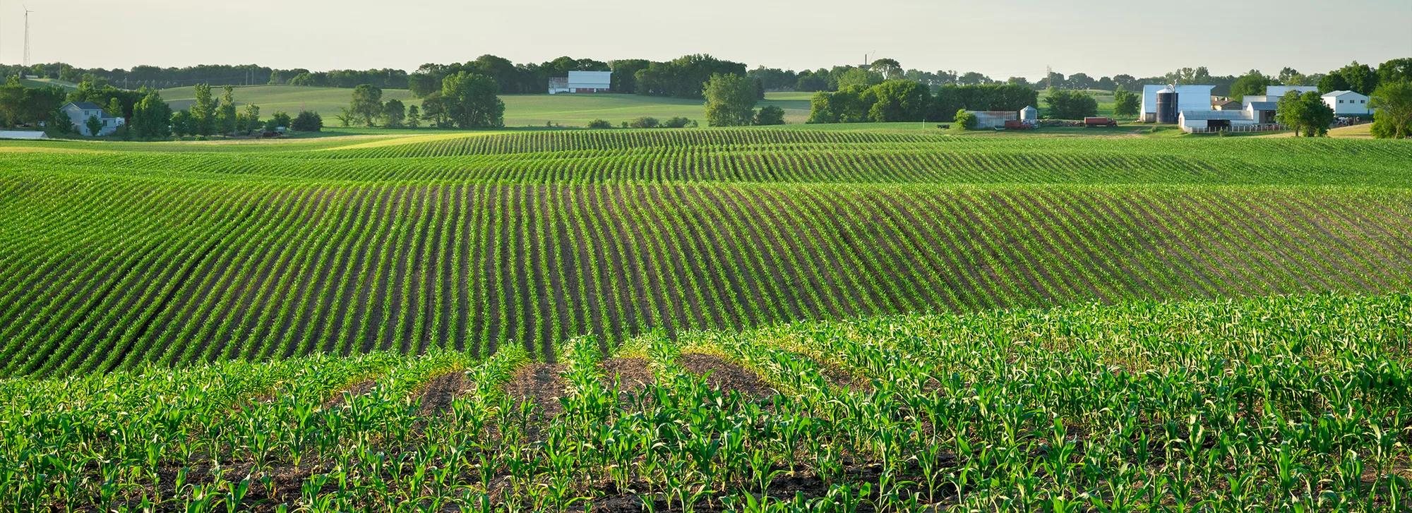 Spring 2024 Outlook | FCSAmerica