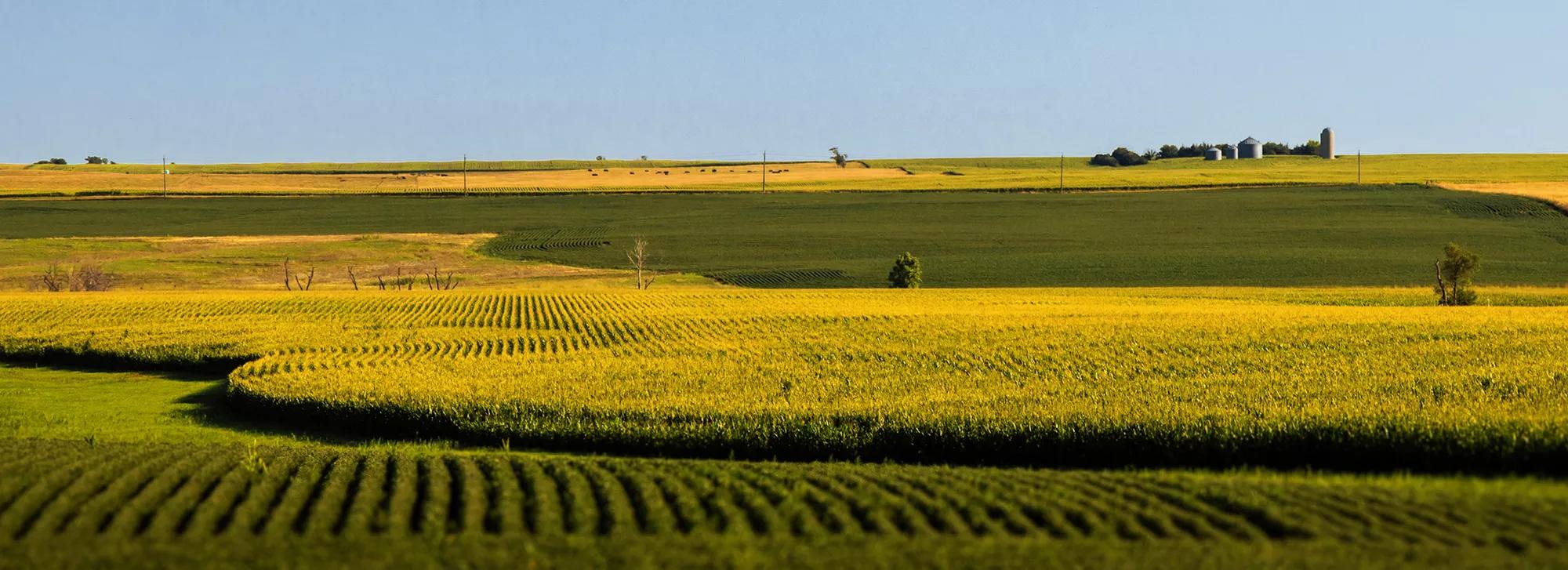 Cycles in Agriculture | Frontier Farm Credit