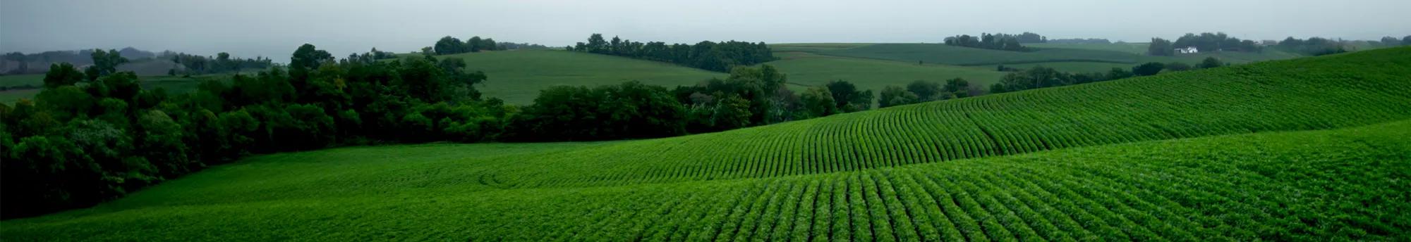 Newsroom | Frontier Farm Credit