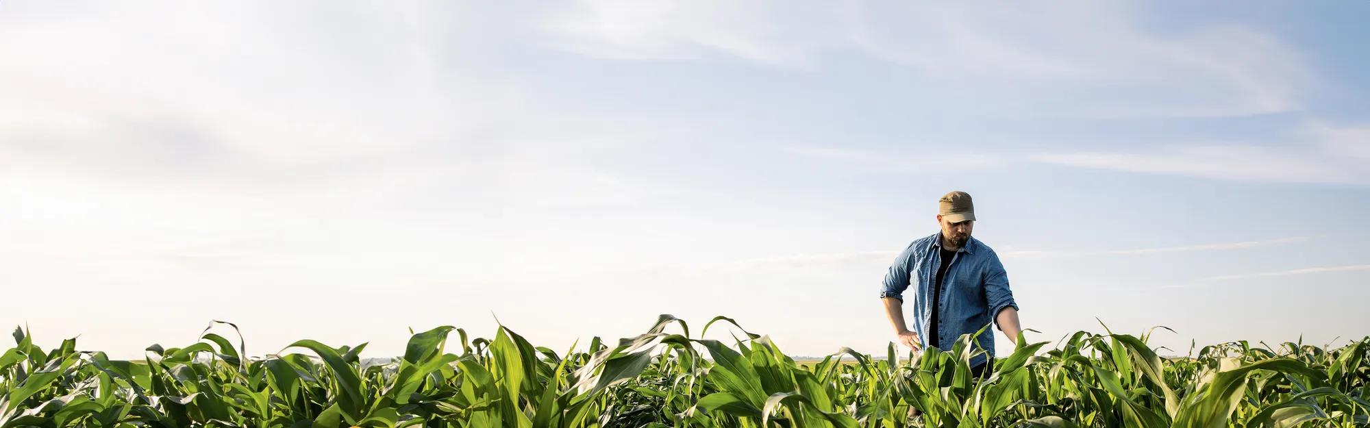 AgCountry Farm Credit Services - Agriculture Loans and Financial Services