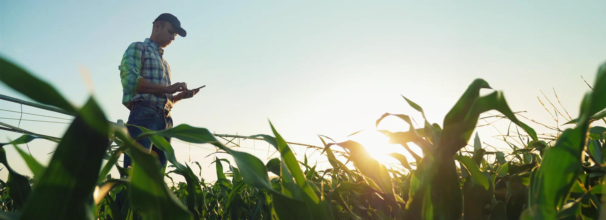 Key Considerations for Margin Protection | FCSAmerica